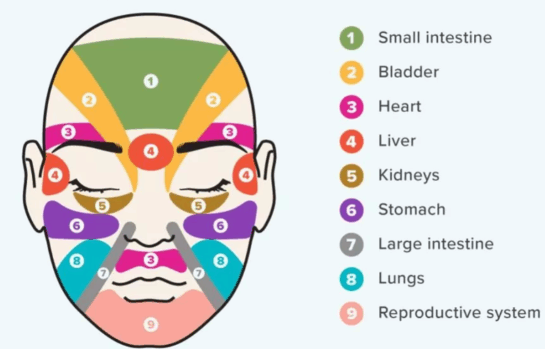 What Your Face Reveals About You - EssentiallyLili